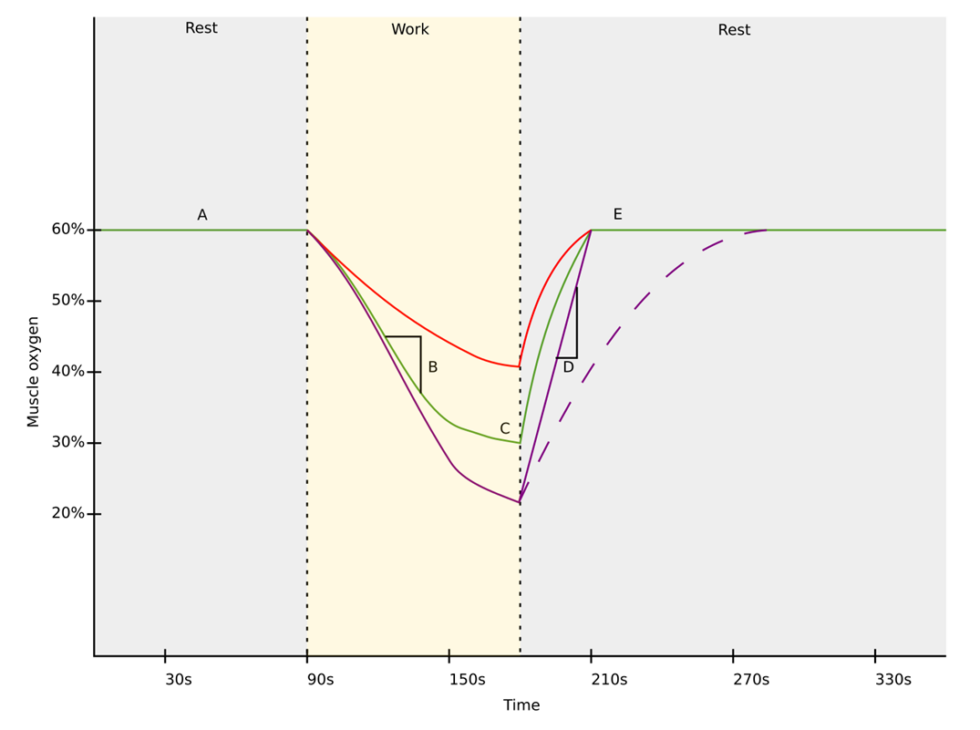 What is the Wingate test? - GRASPOR